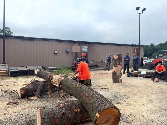 We Hire Great People And Train Them To Be Great Arborists